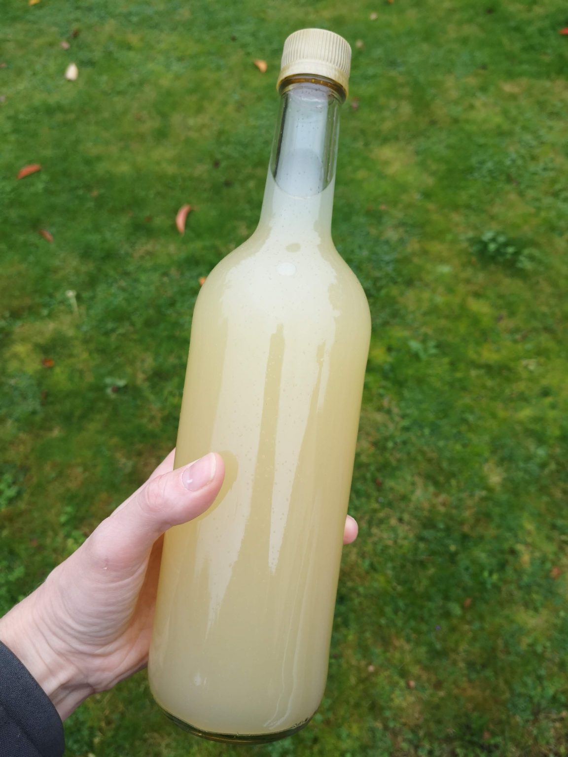 Shake, shake the apple tree – WindmillCare